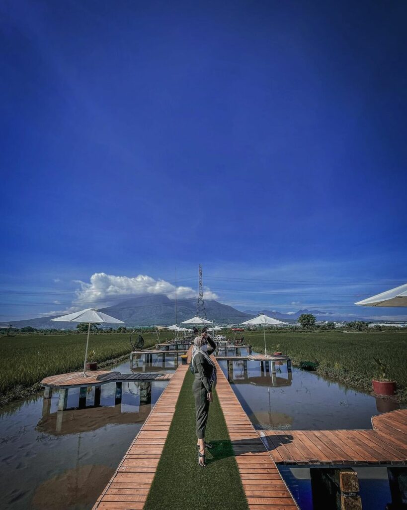 Gubuk Paddi, a Cafe in the Middle of a Rice Field in Mojokerto ...